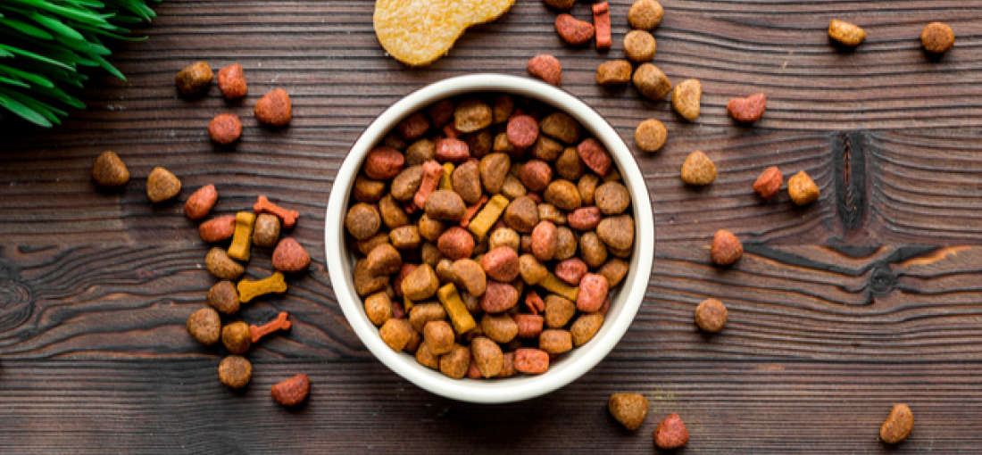New Report Global Pet Food Ingredients Market Forecast 2019 2025 WhaTech new-report-global-pet-food-ingredients-market-forecast-2019-2025-whatech